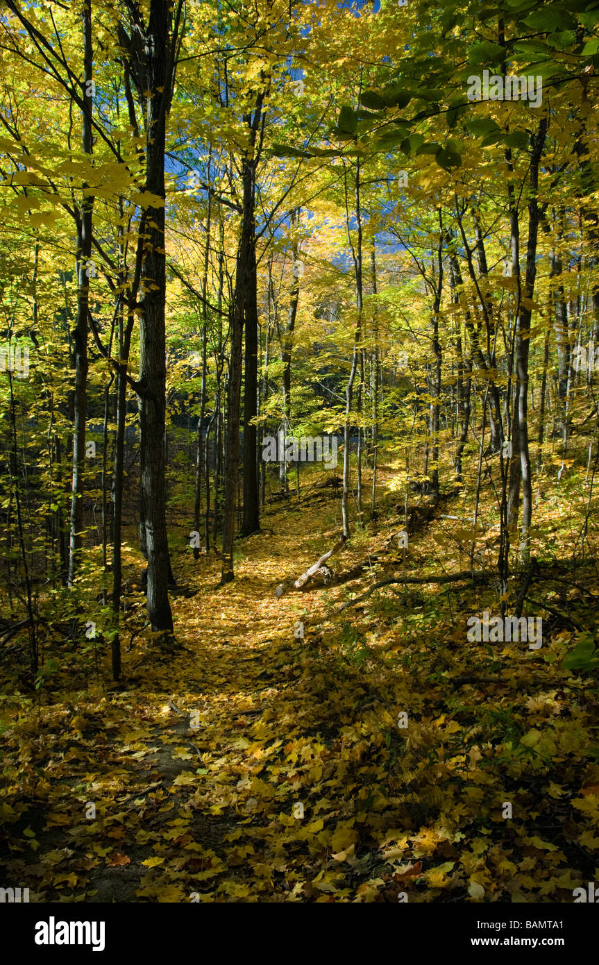 Rockcliffe Trail Niagara Escarpment in Waterdown Ontario Stock Photo ...