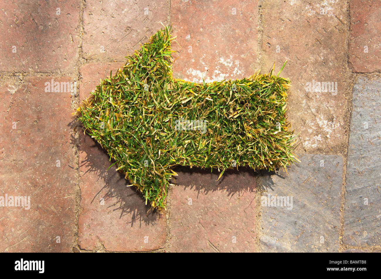 Green arrow made from turf on brick walkway Stock Photo - Alamy