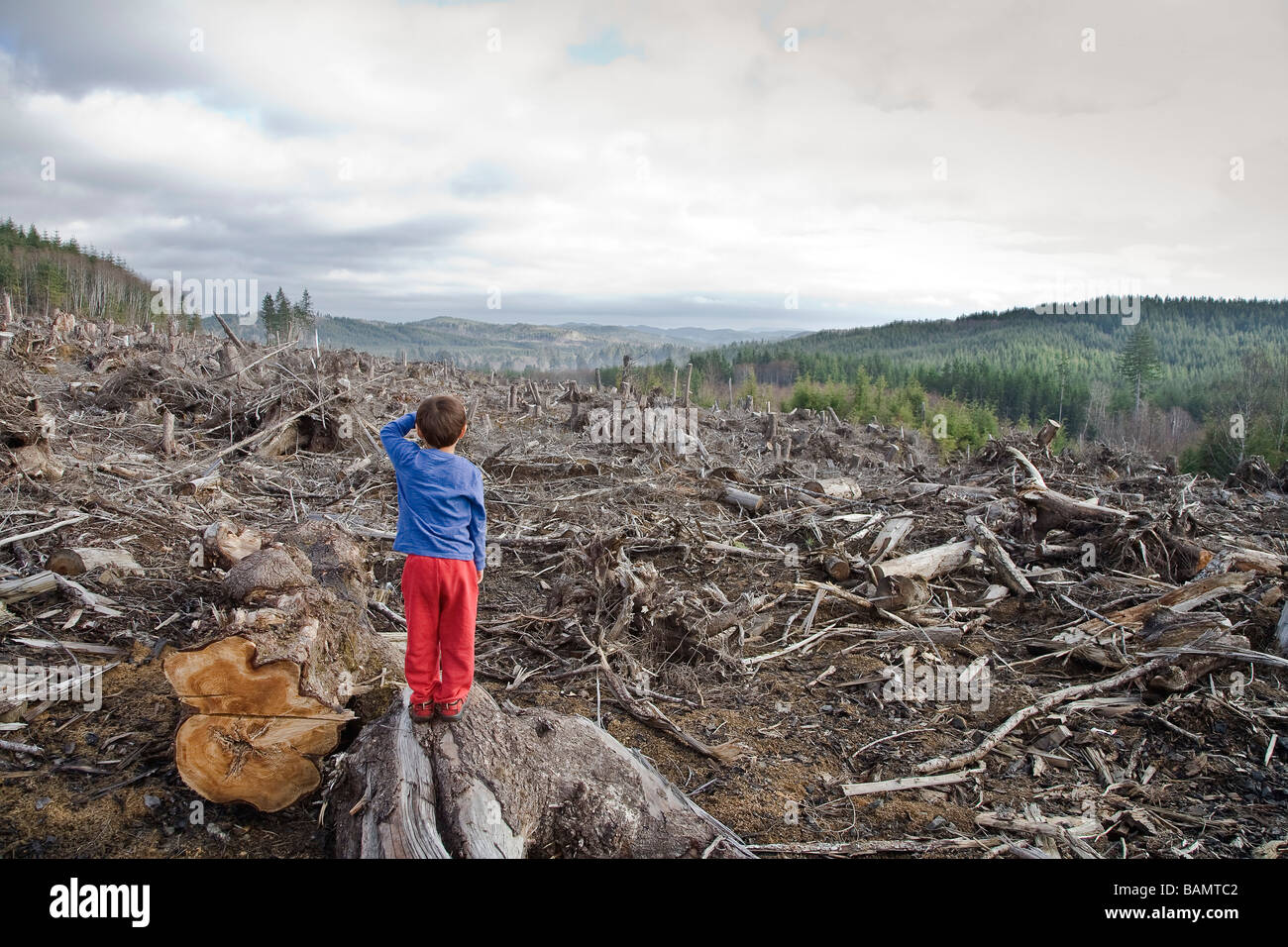 Looking After Environment High Resolution Stock Photography and Images ...