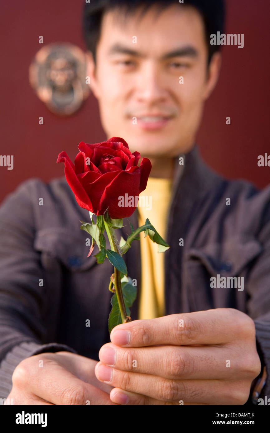 Young Man Offering A Single Rose Stock Photo - Alamy