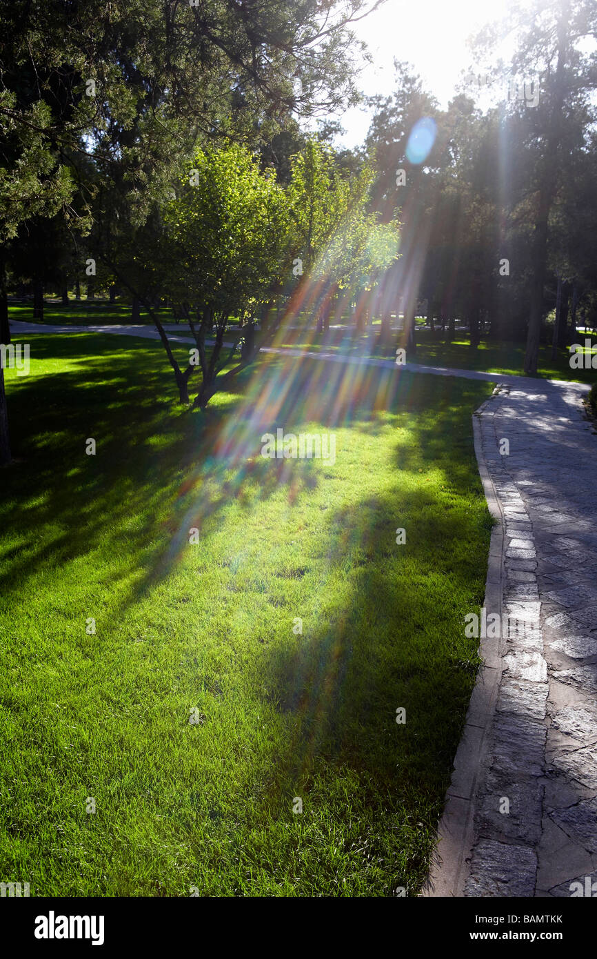 Pathway Through Park Stock Photo - Alamy
