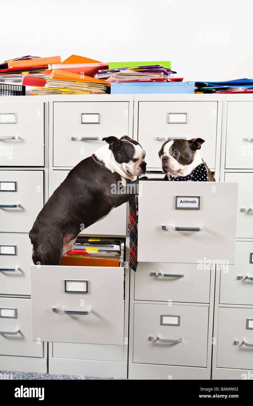 Open File Cabinet High Resolution Stock Photography and Images - Alamy