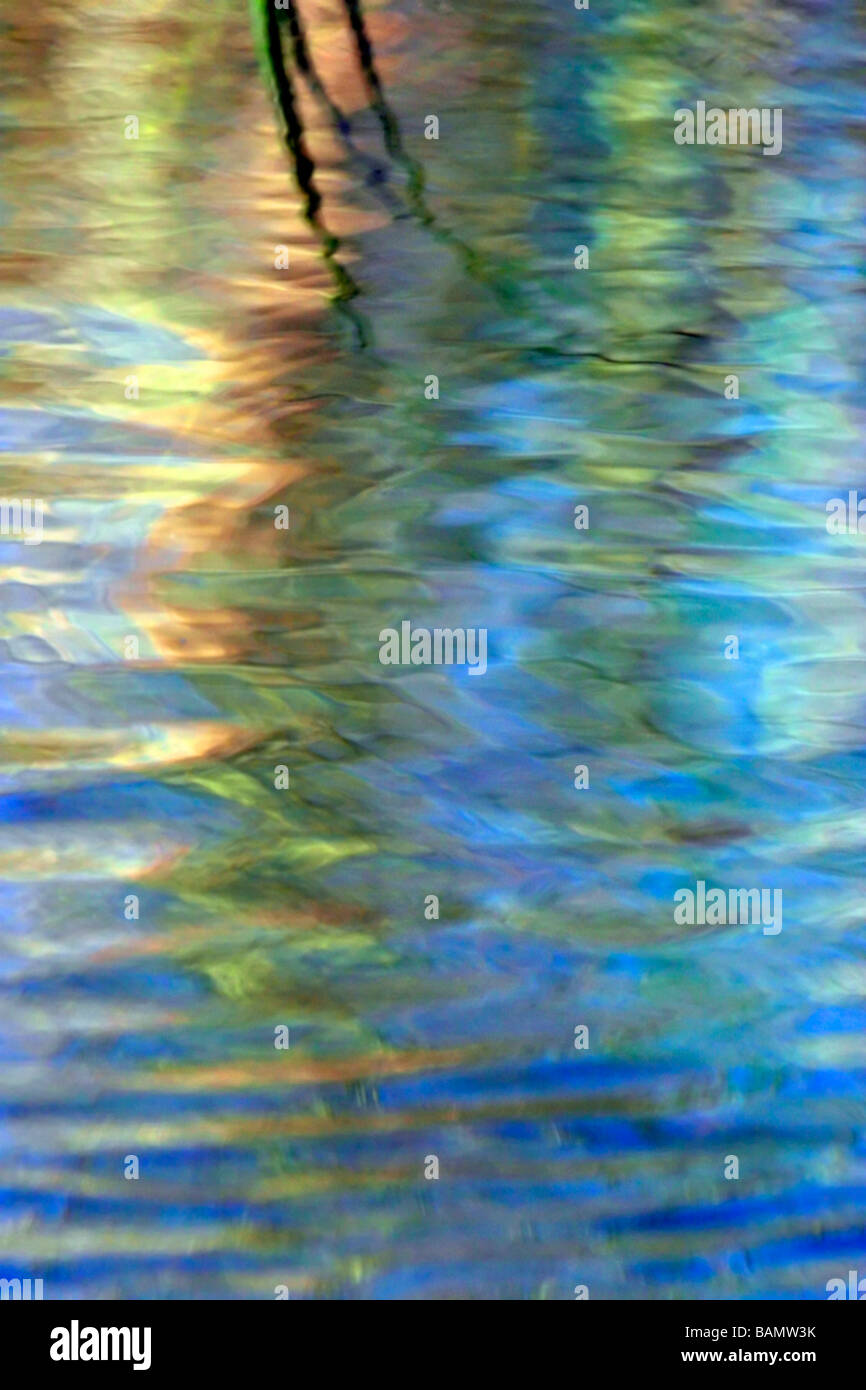 African water motion blur of papyrus reeds and grasses near sunset ...