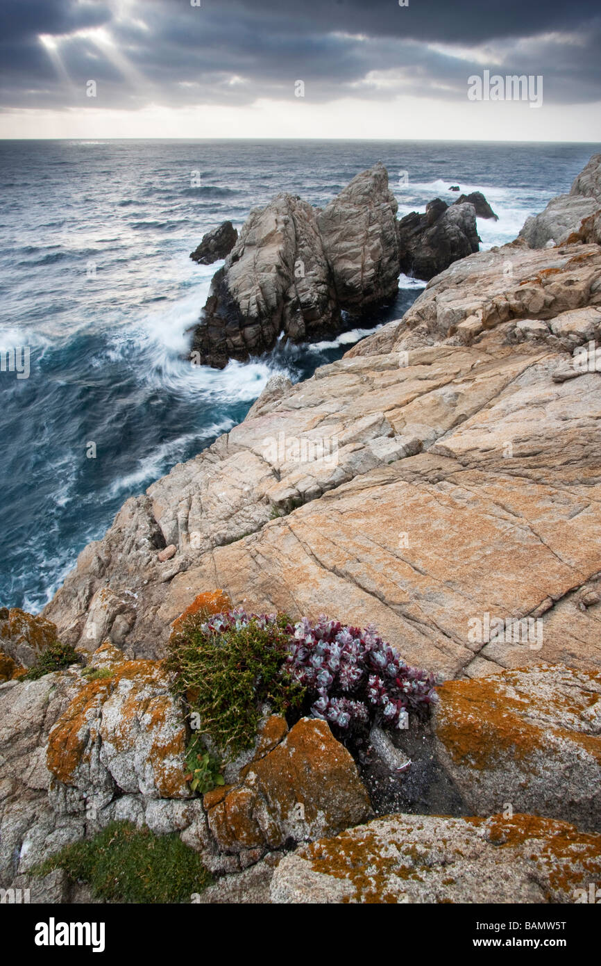 Pinnacle Cove at sunset, Point Lobos State Reserve, California, USA ...