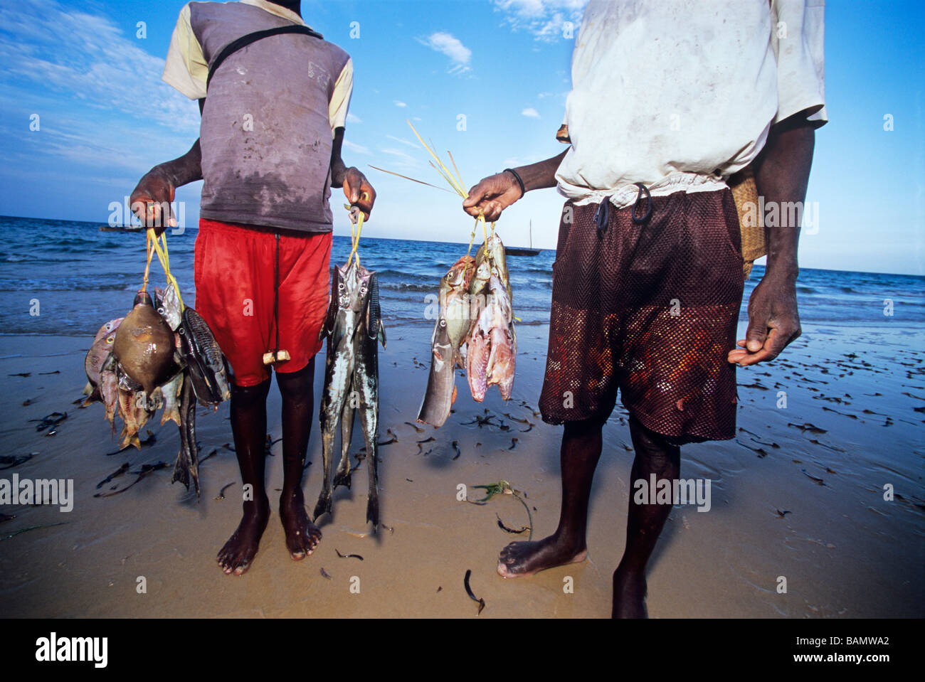 Fishermen bringing catch home Inhassoro Mozambique Stock Photo - Alamy