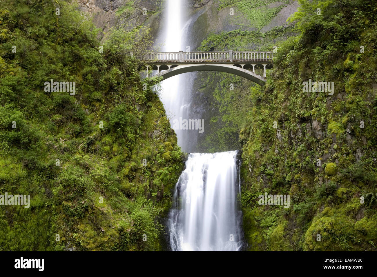 Multnomah Falls and the bridge in Oregon Stock Photo - Alamy