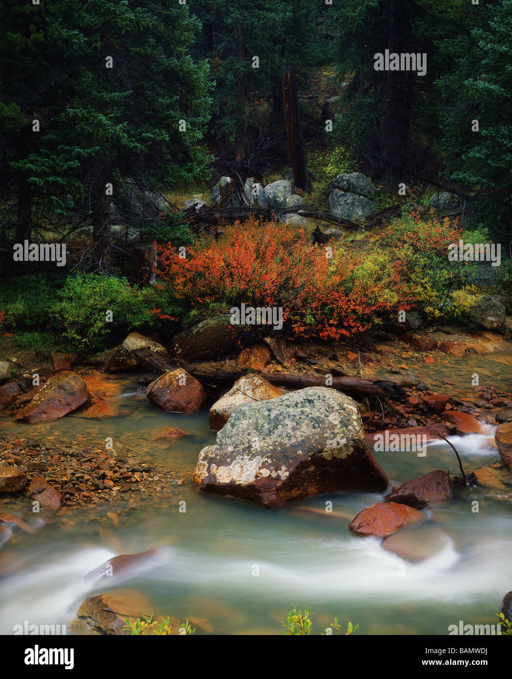 Classic Rocky Mountain scene in spring Stock Photo - Alamy