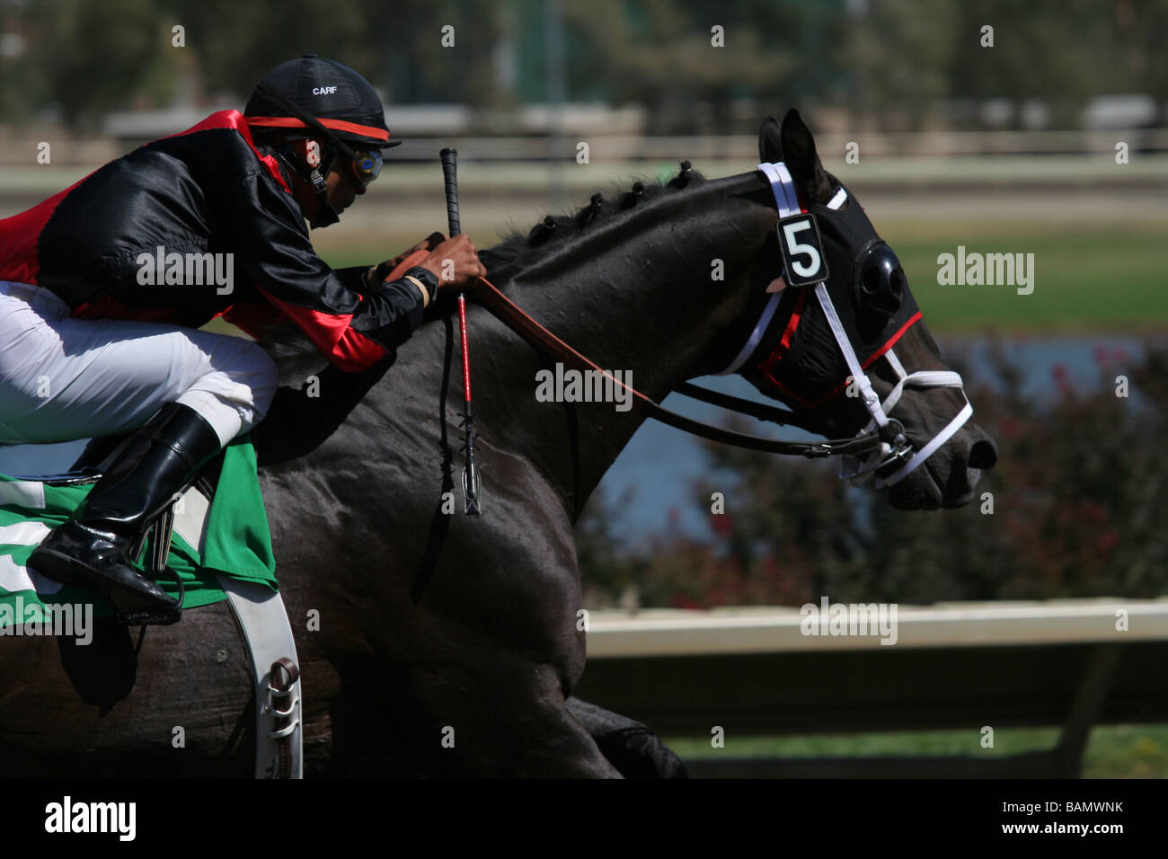 Horseracing bet hi-res stock photography and images - Alamy