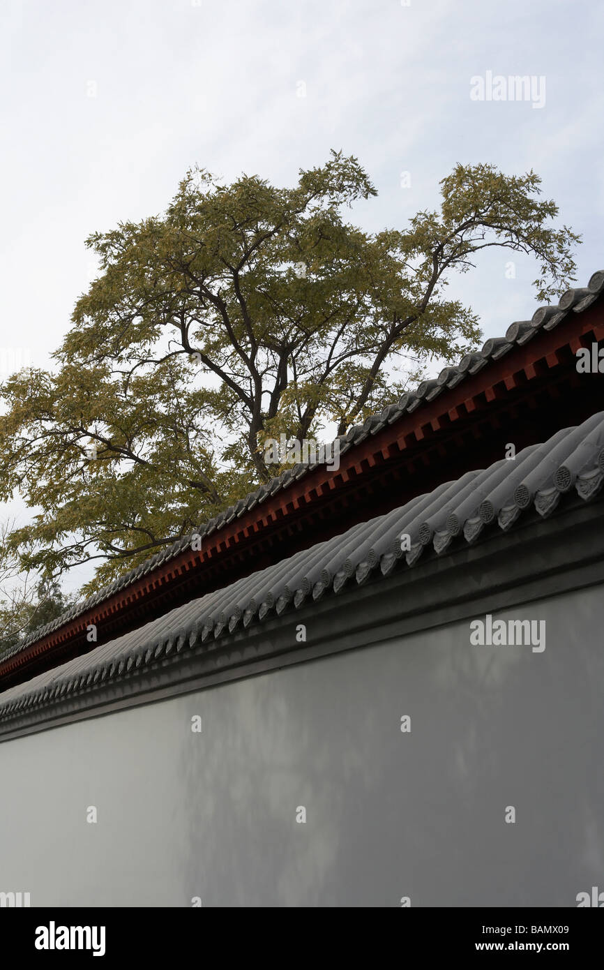 Detail Of The Roof Edge Of A Chinese Pagoda Stock Photo - Alamy