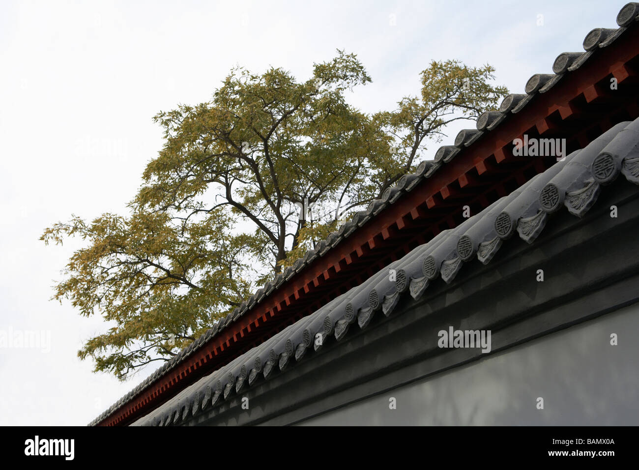 Detail Of The Roof Edge Of A Chinese Pagoda Stock Photo - Alamy