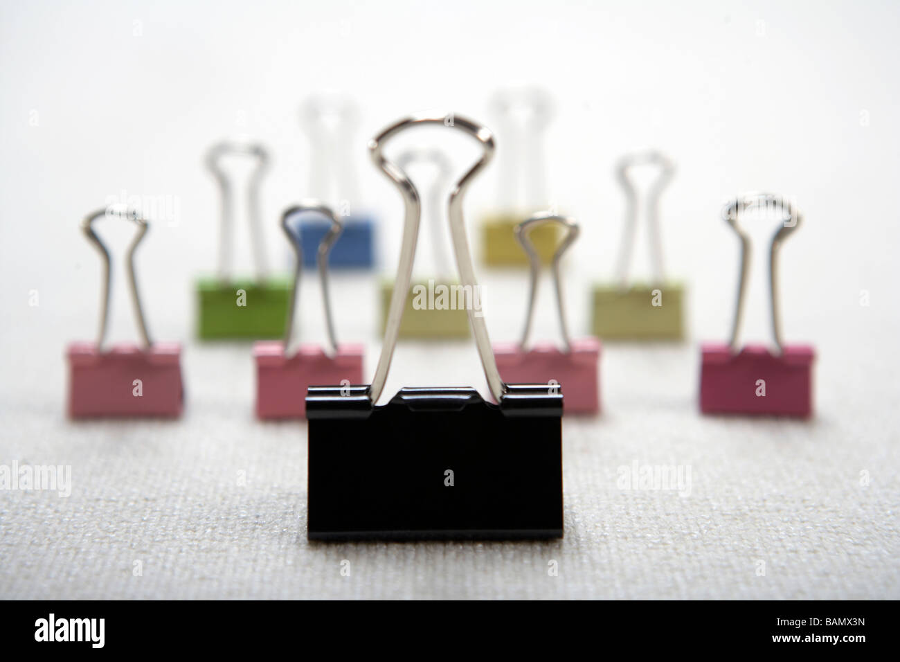 Collection Of Bull Clips Stock Photo - Alamy