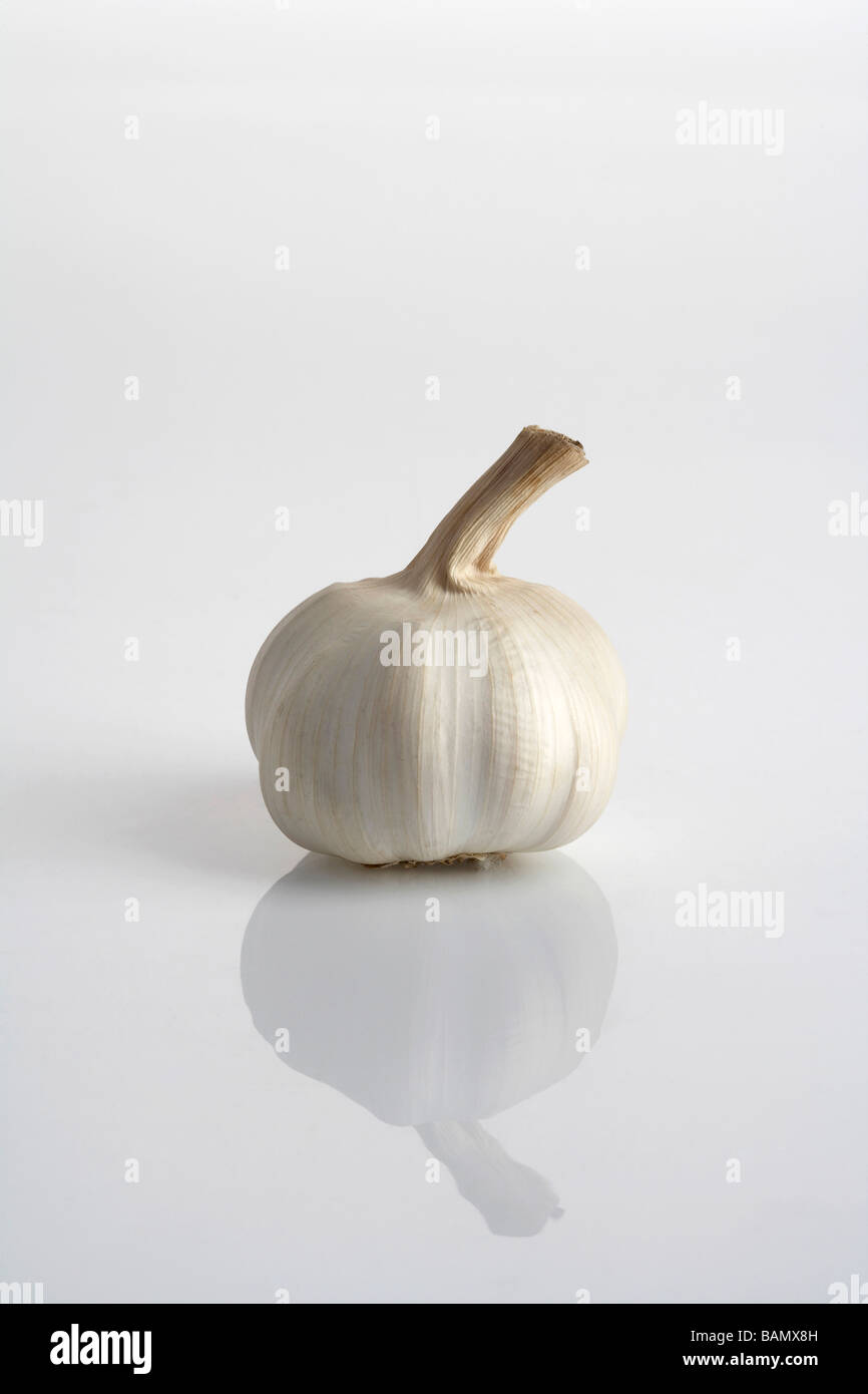 A single garlic bulb Stock Photo - Alamy