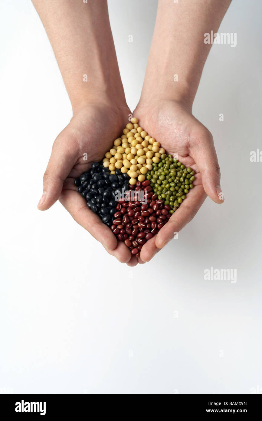 Cupped hands holding multicolored beans and legumes Stock Photo - Alamy