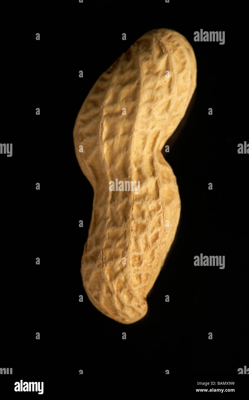 A peanut in shell Stock Photo - Alamy
