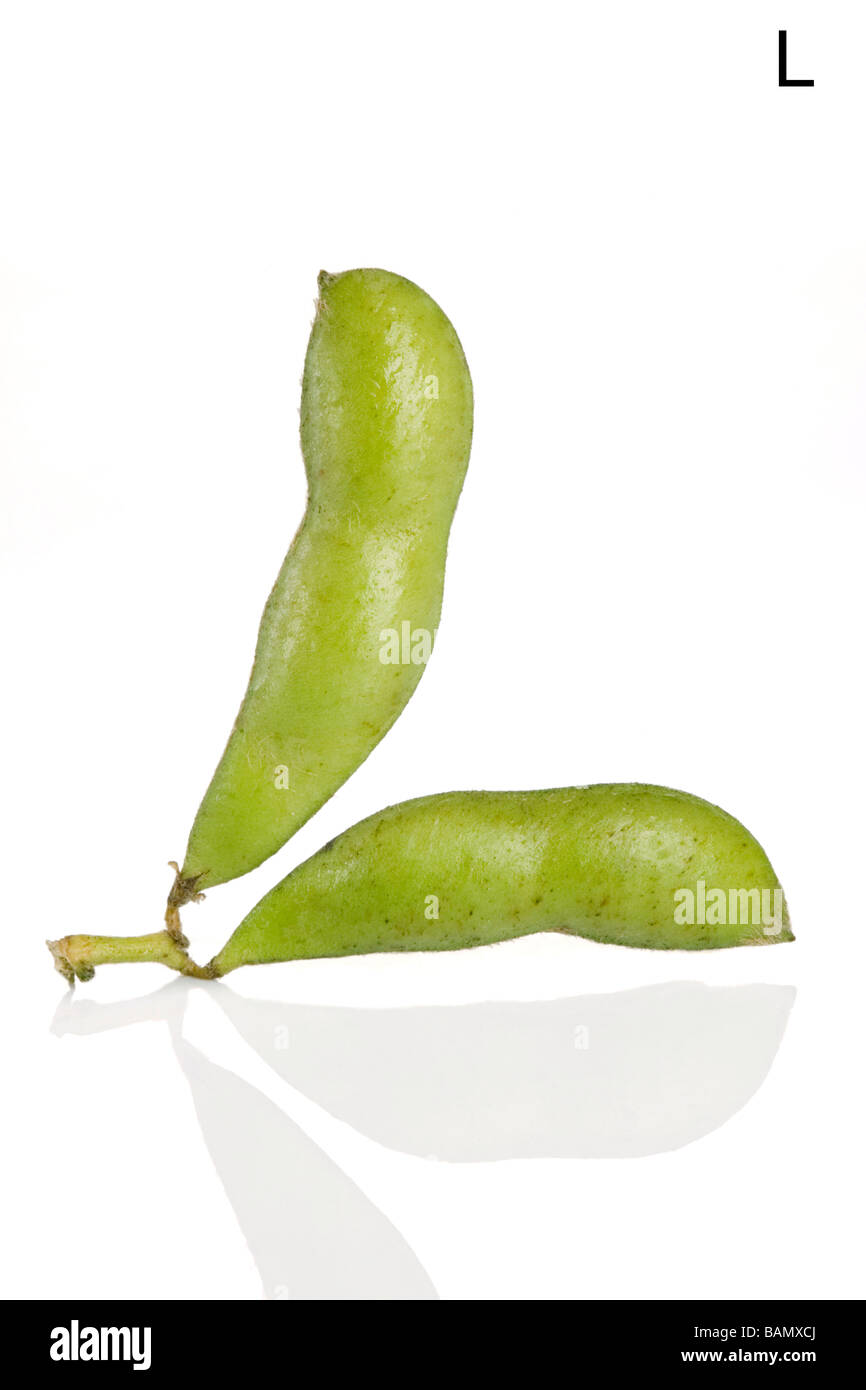 From the Health-abet, the Letter L, soybeans Stock Photo - Alamy