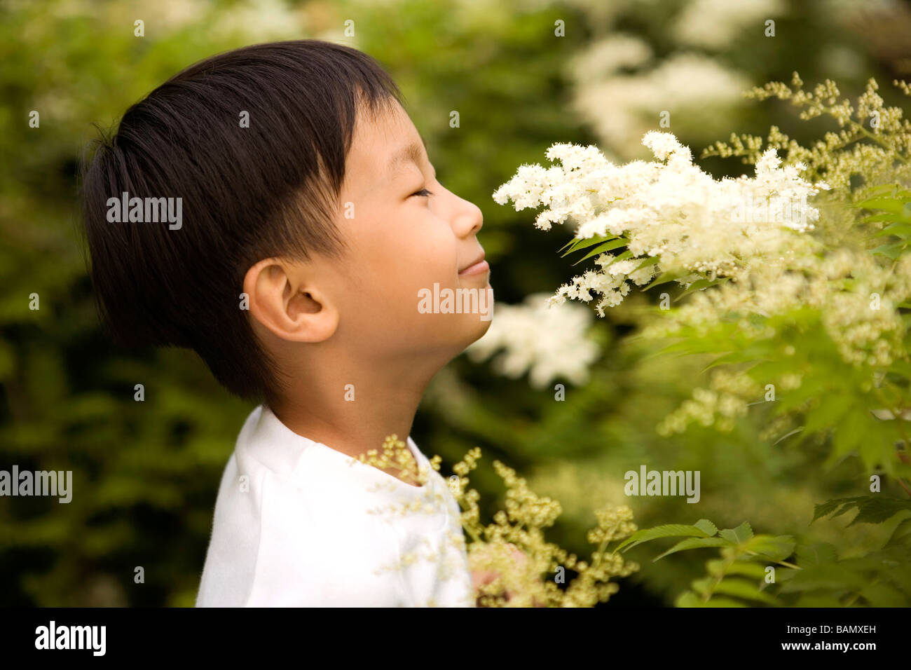 Young Boy Smelling Flowers In A Park Stock Photo - Alamy