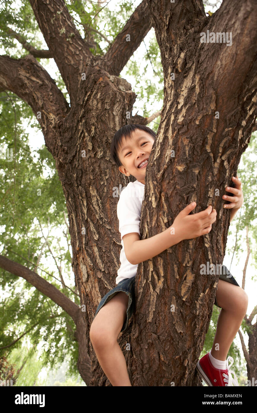 Young Boy Climbing A Tree In A Park Stock Photo - Alamy