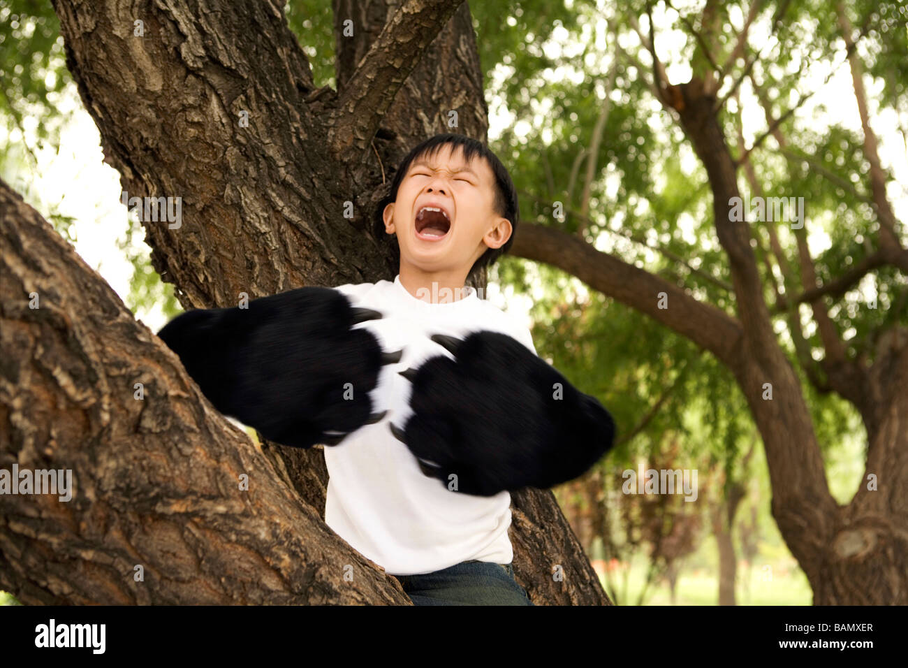 Young Boy Wearing Animal Paws Climbing A Tree Stock Photo - Alamy