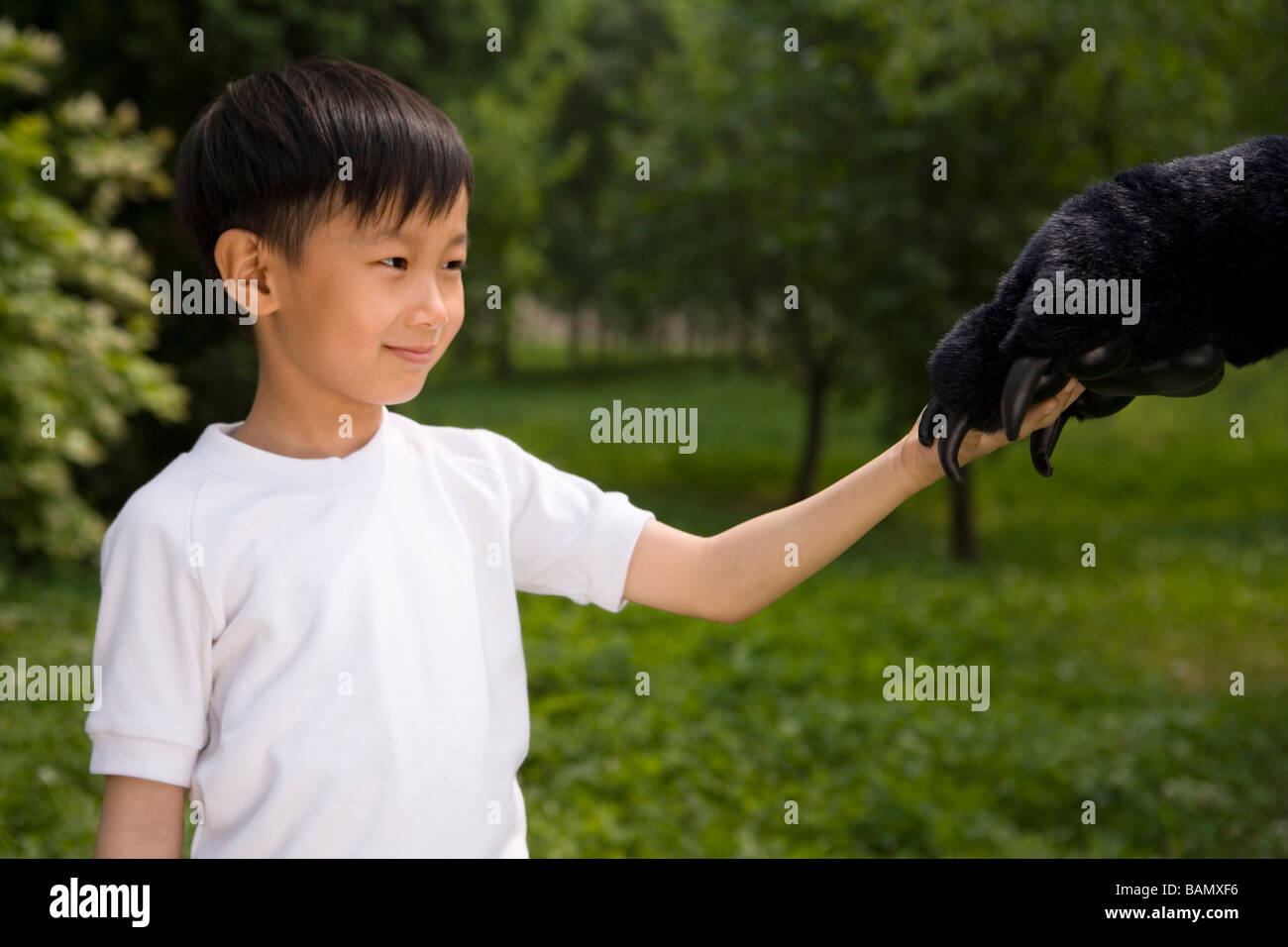 Enjoyed by wildlife hi-res stock photography and images - Alamy