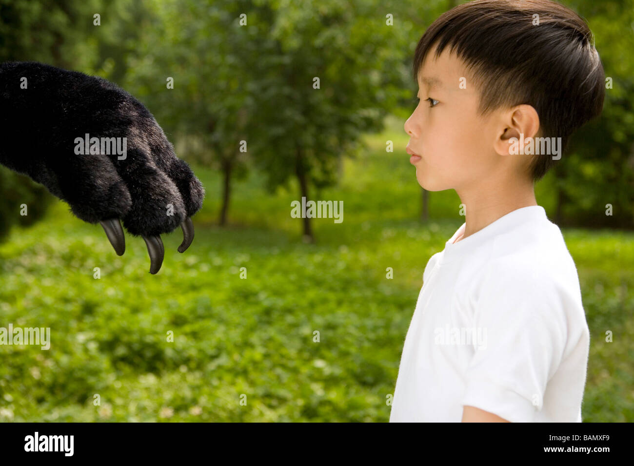 Young Boy Looking At Animal Paw Stock Photo - Alamy
