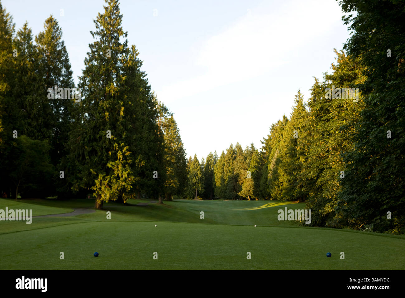 Beware of trees hi-res stock photography and images - Alamy