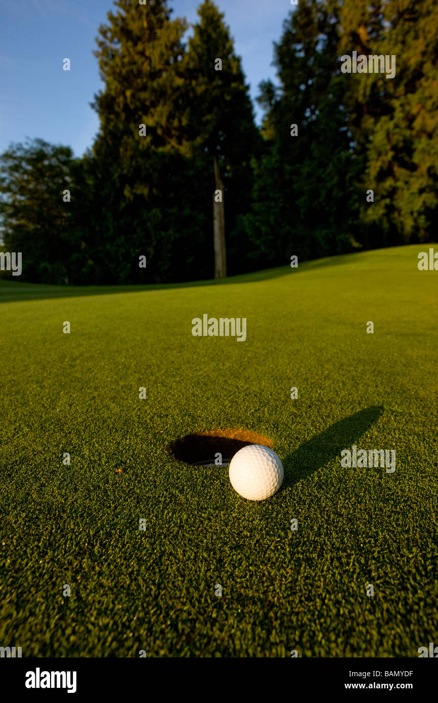 The gimme putt - golf concepts Stock Photo - Alamy