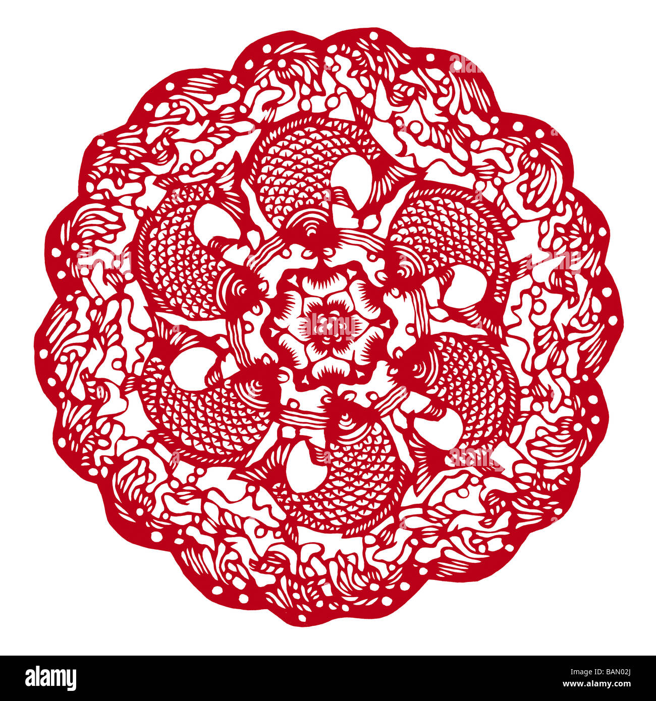 Omnivore fish Cut Out Stock Images & Pictures - Alamy