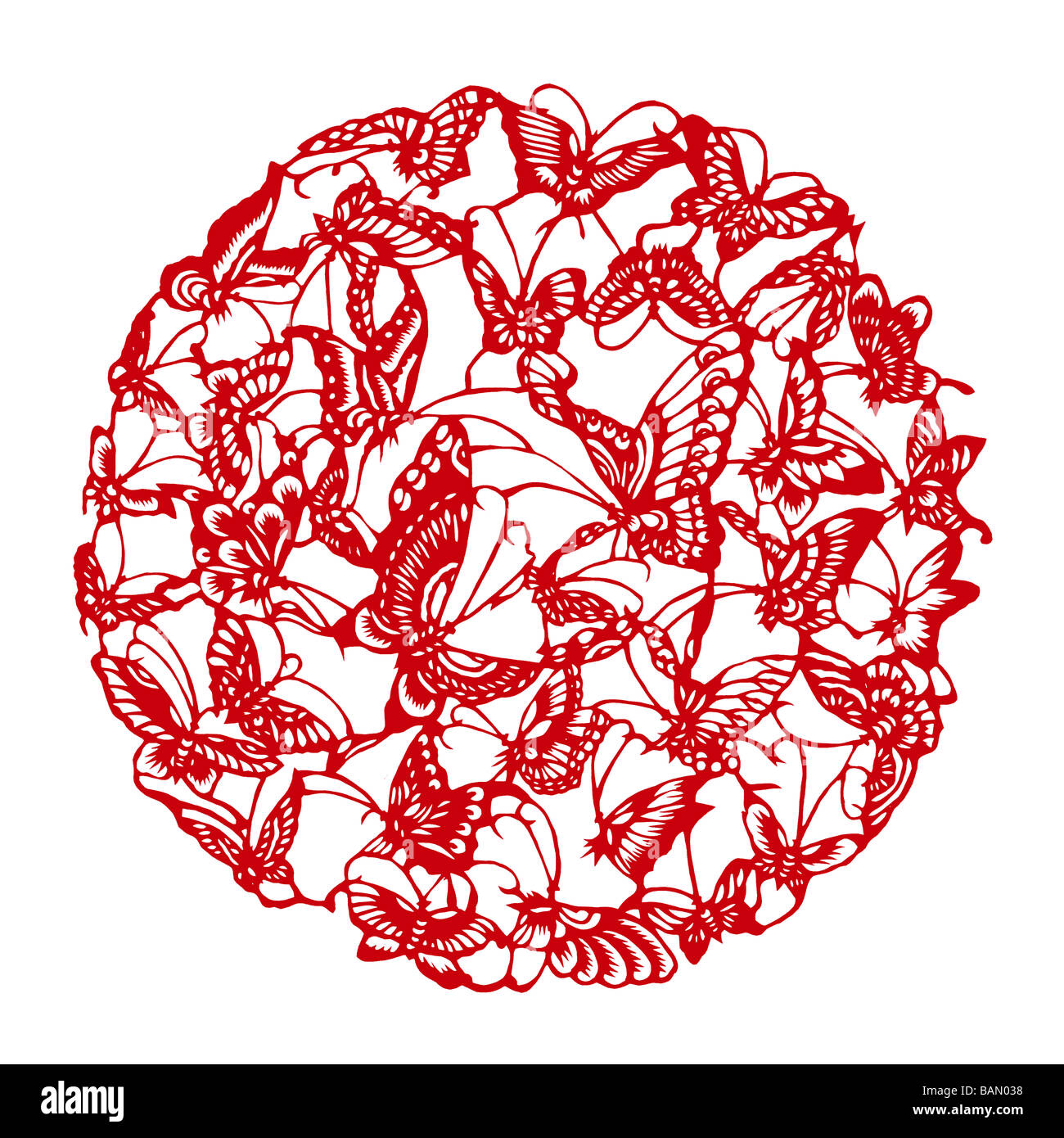 Caring for insects Cut Out Stock Images & Pictures - Alamy