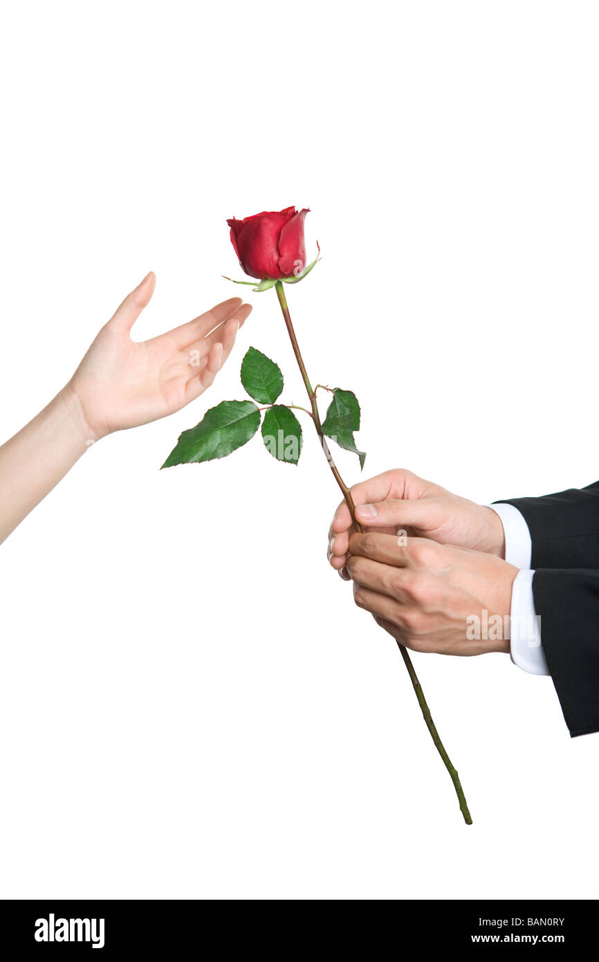 Gifting a plant hi-res stock photography and images - Alamy