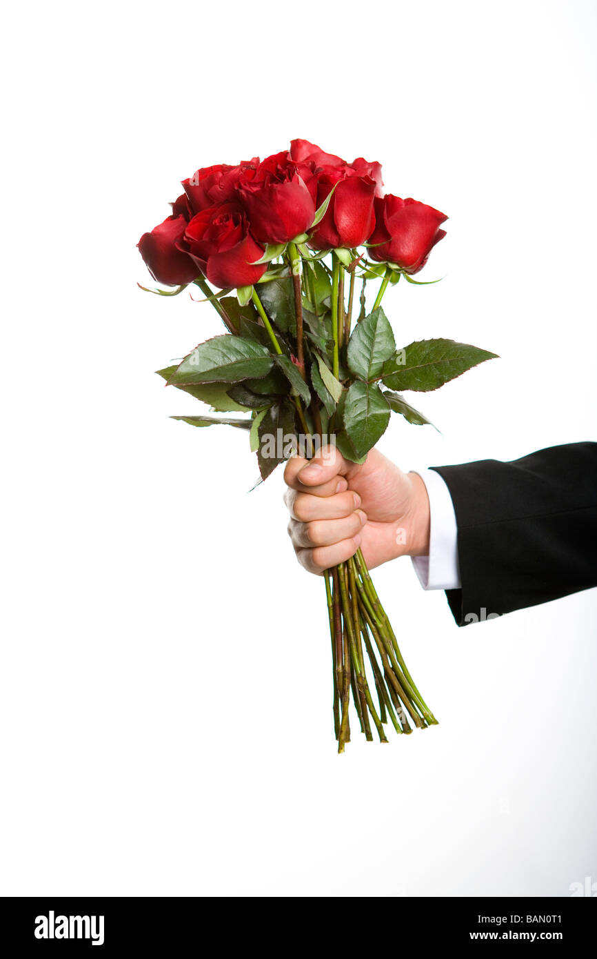 Gifting a dozen roses Stock Photo - Alamy