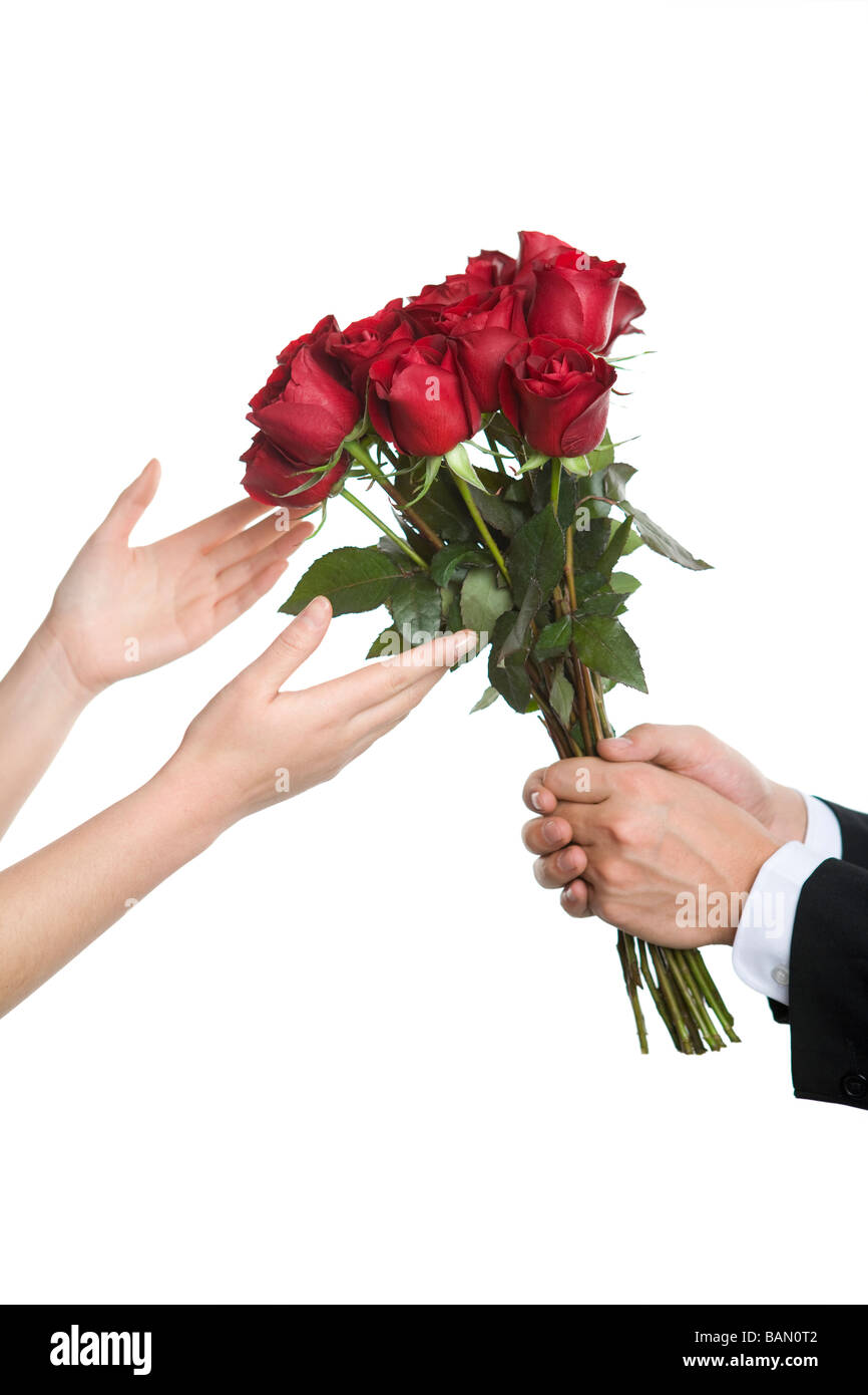 Two dozen red roses hi-res stock photography and images - Alamy