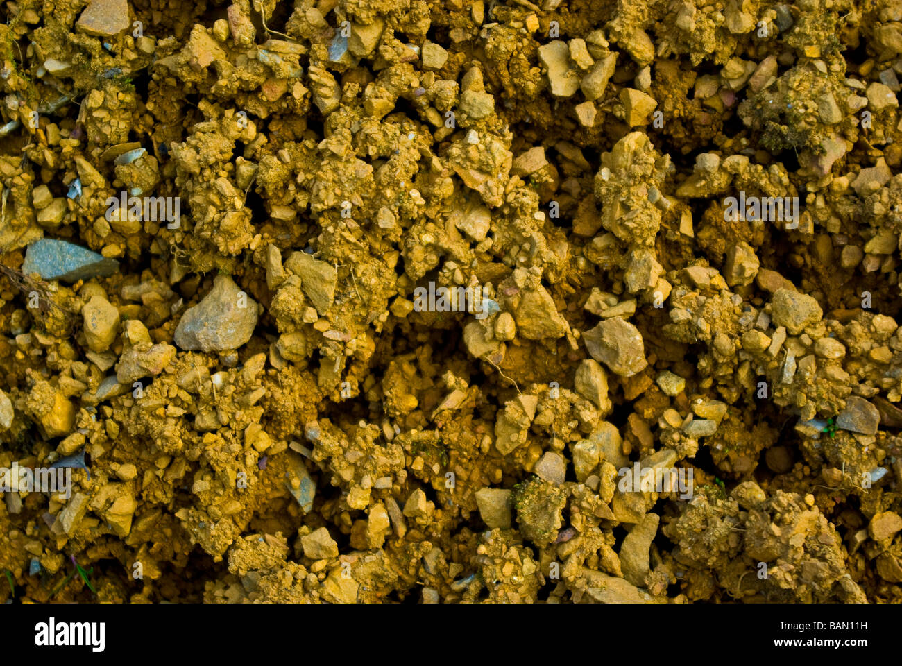 Web desing hi-res stock photography and images - Alamy