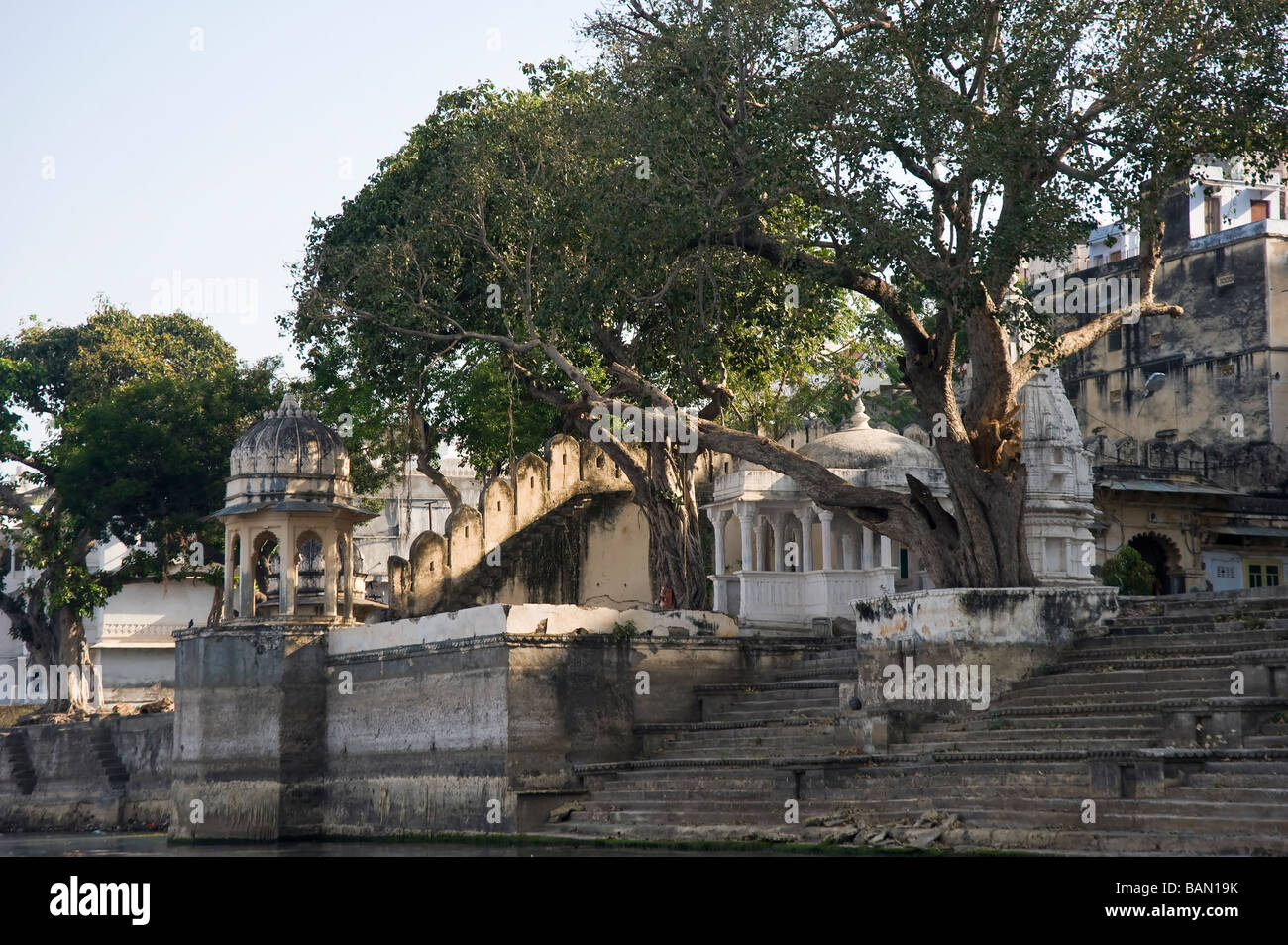 Trees udaipur hi-res stock photography and images - Alamy