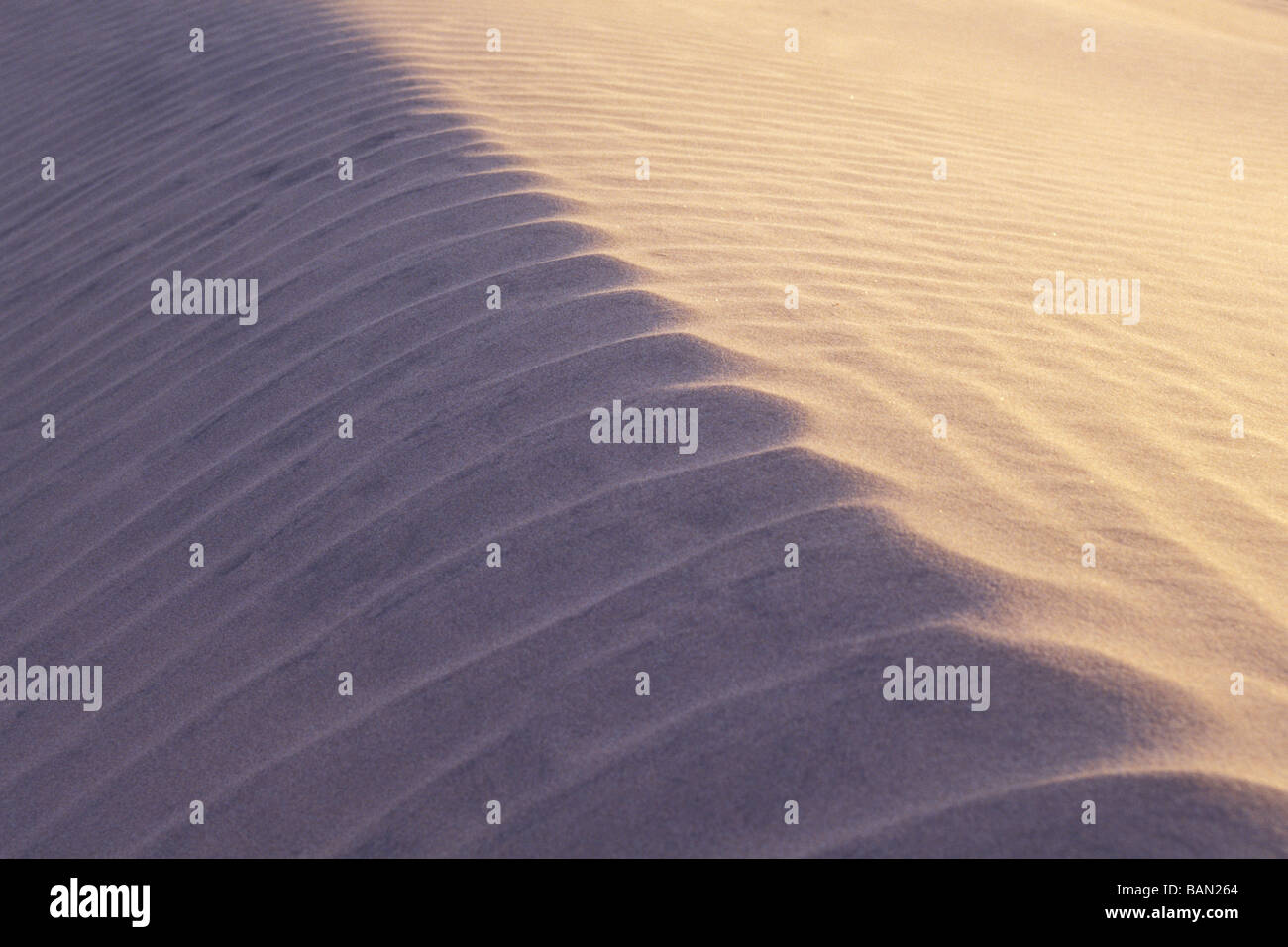 Desert ambiance hi-res stock photography and images - Alamy