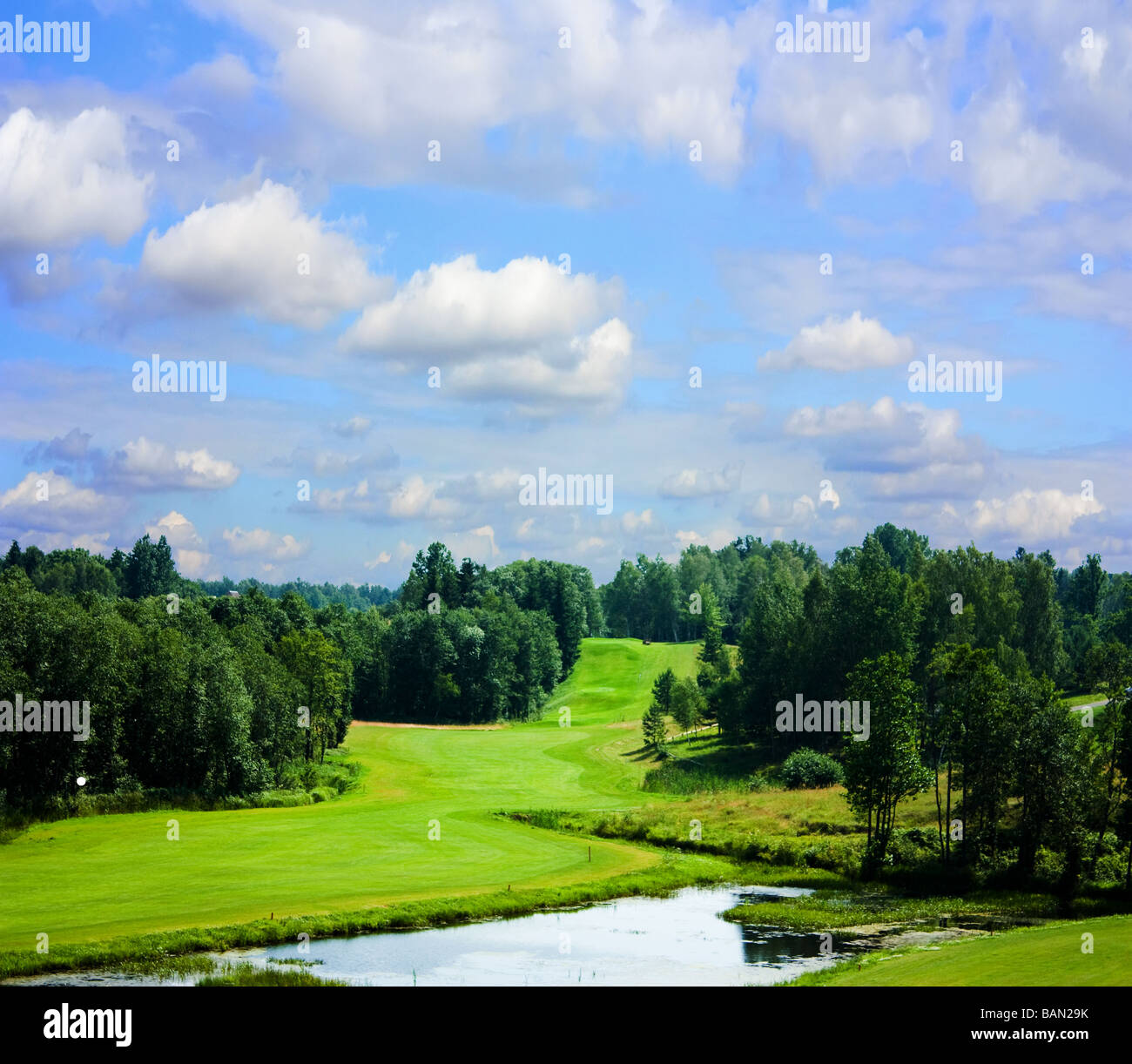 Green nature landscape trees Cut Out Stock Images & Pictures - Alamy