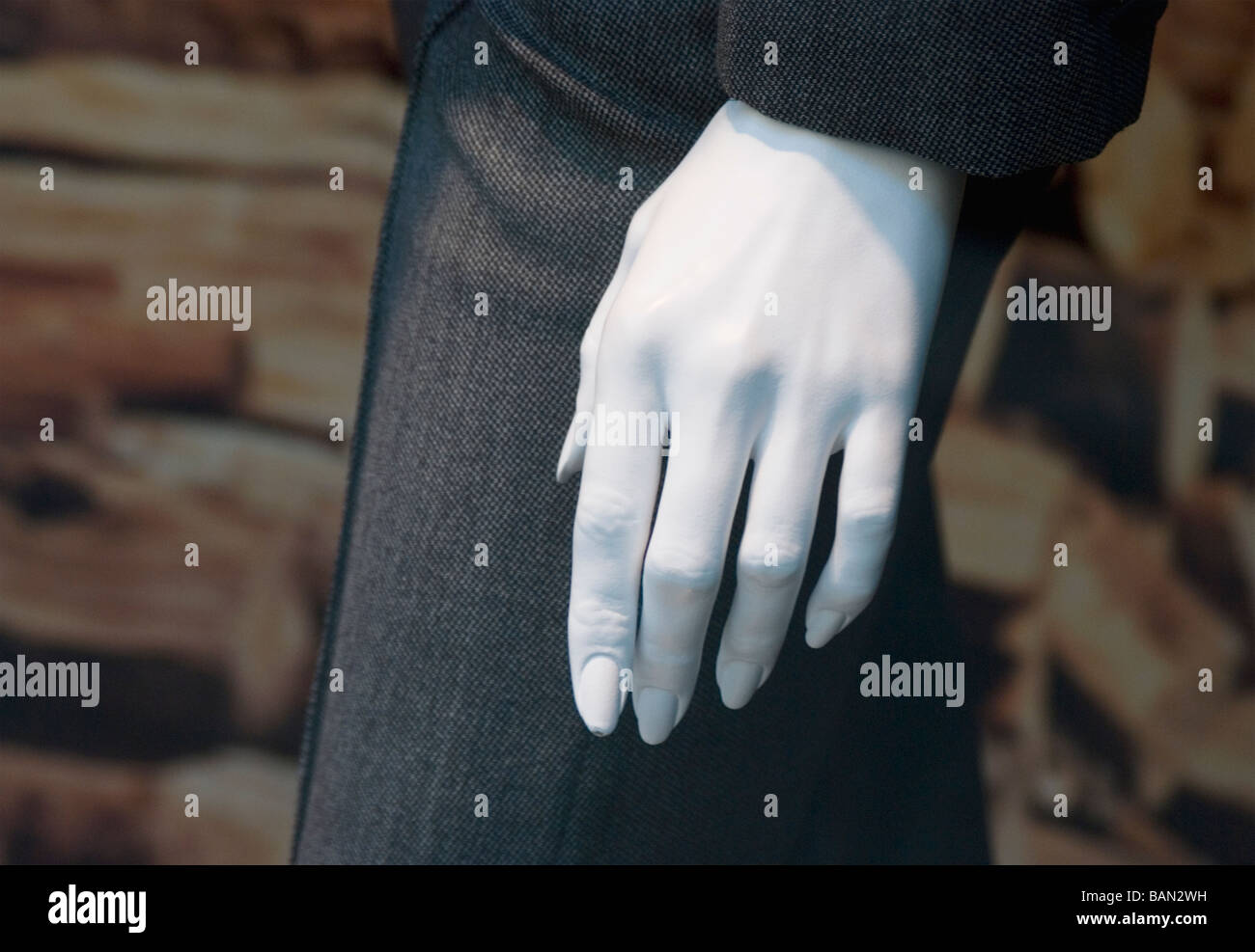 Anatomical mannequin hi-res stock photography and images - Alamy