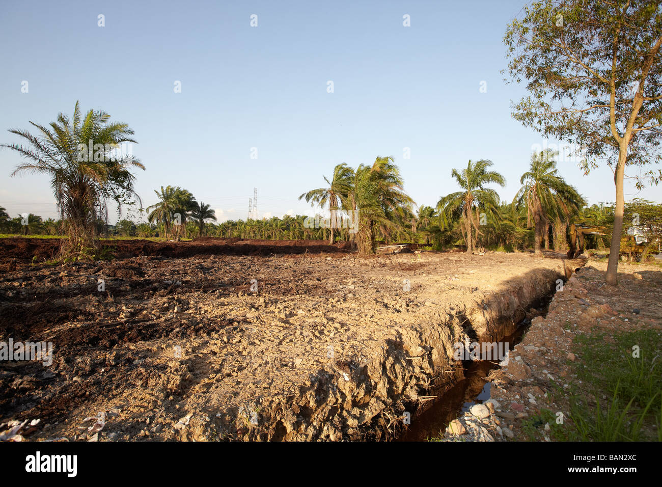 construction of road Stock Photo - Alamy