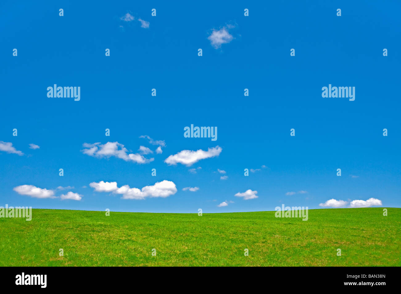 LANDSCAPE WITH GRASS AND SKY Stock Photo - Alamy