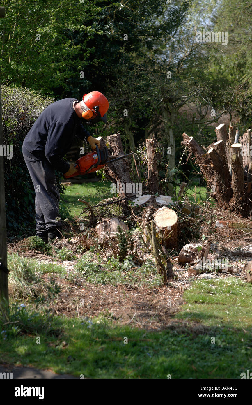 Chainsawing hi-res stock photography and images - Alamy