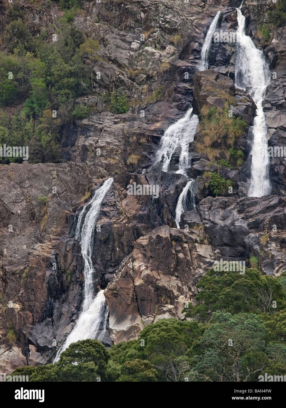 Pyengana hi-res stock photography and images - Alamy