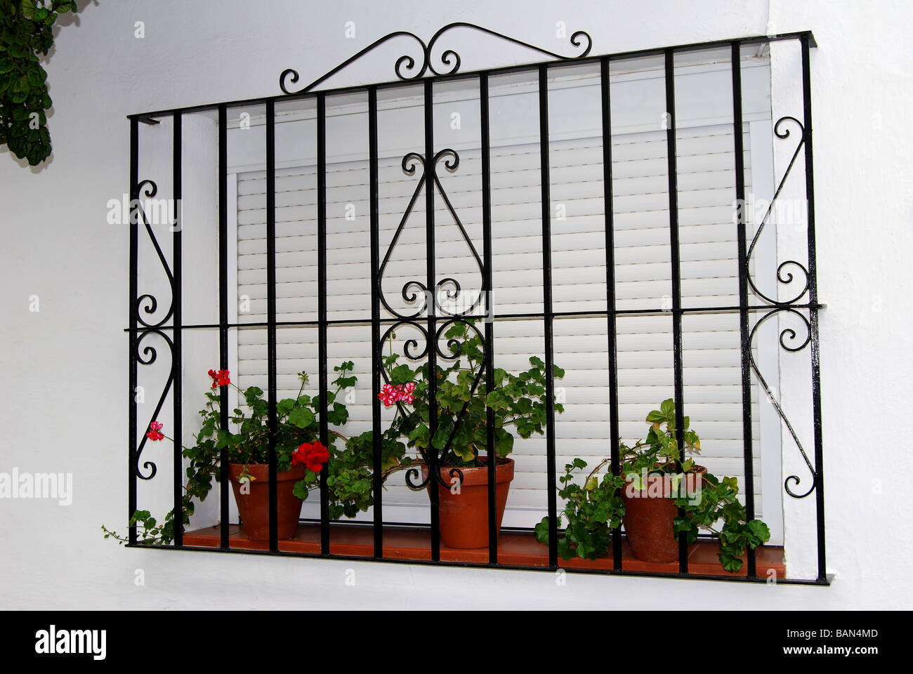Spanish Window Railing