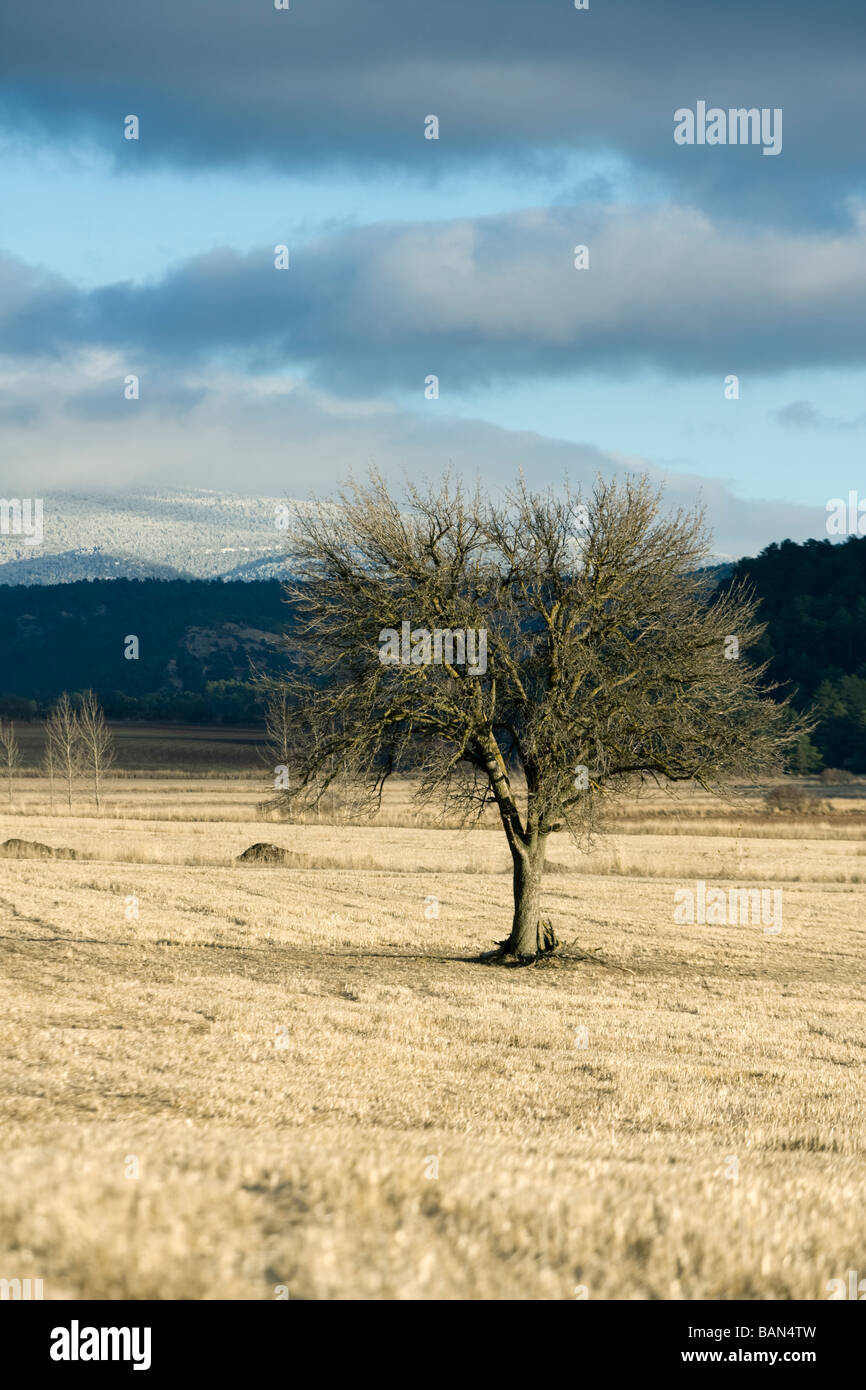 Sierra de gudar mountains hi-res stock photography and images - Alamy