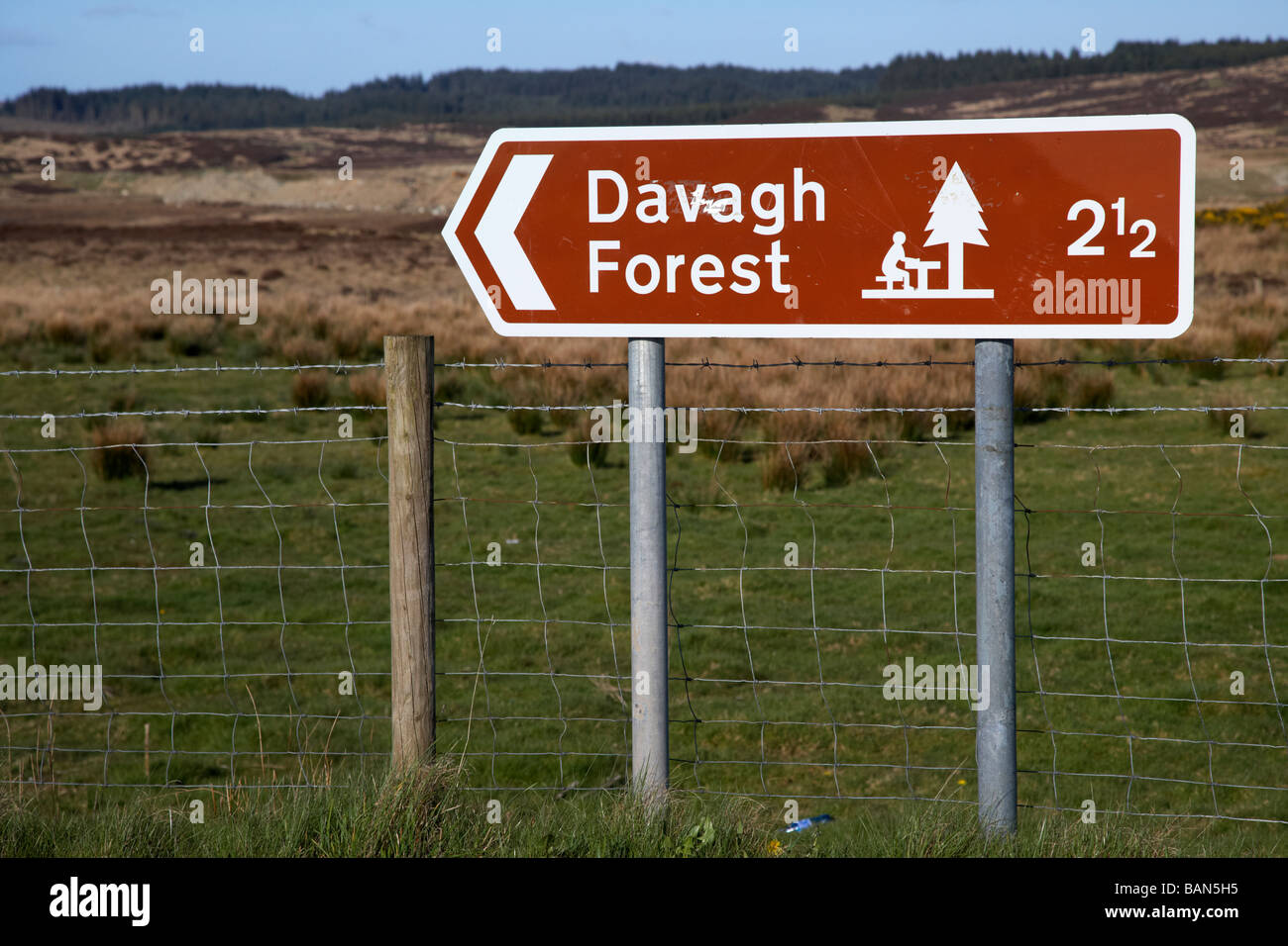 Tyrone davagh forest hi-res stock photography and images - Alamy
