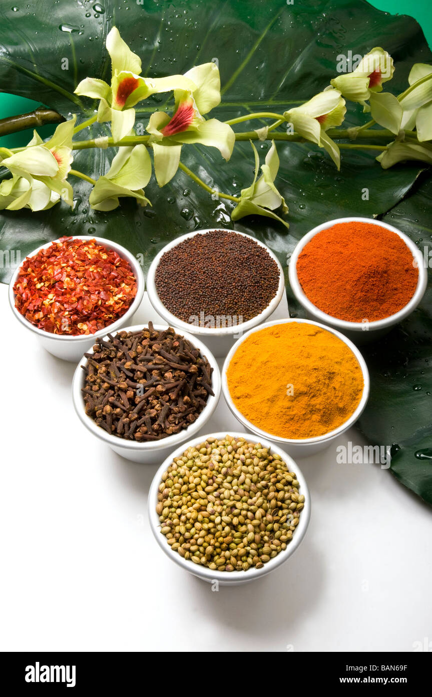 Dhaniya seeds hi-res stock photography and images - Alamy