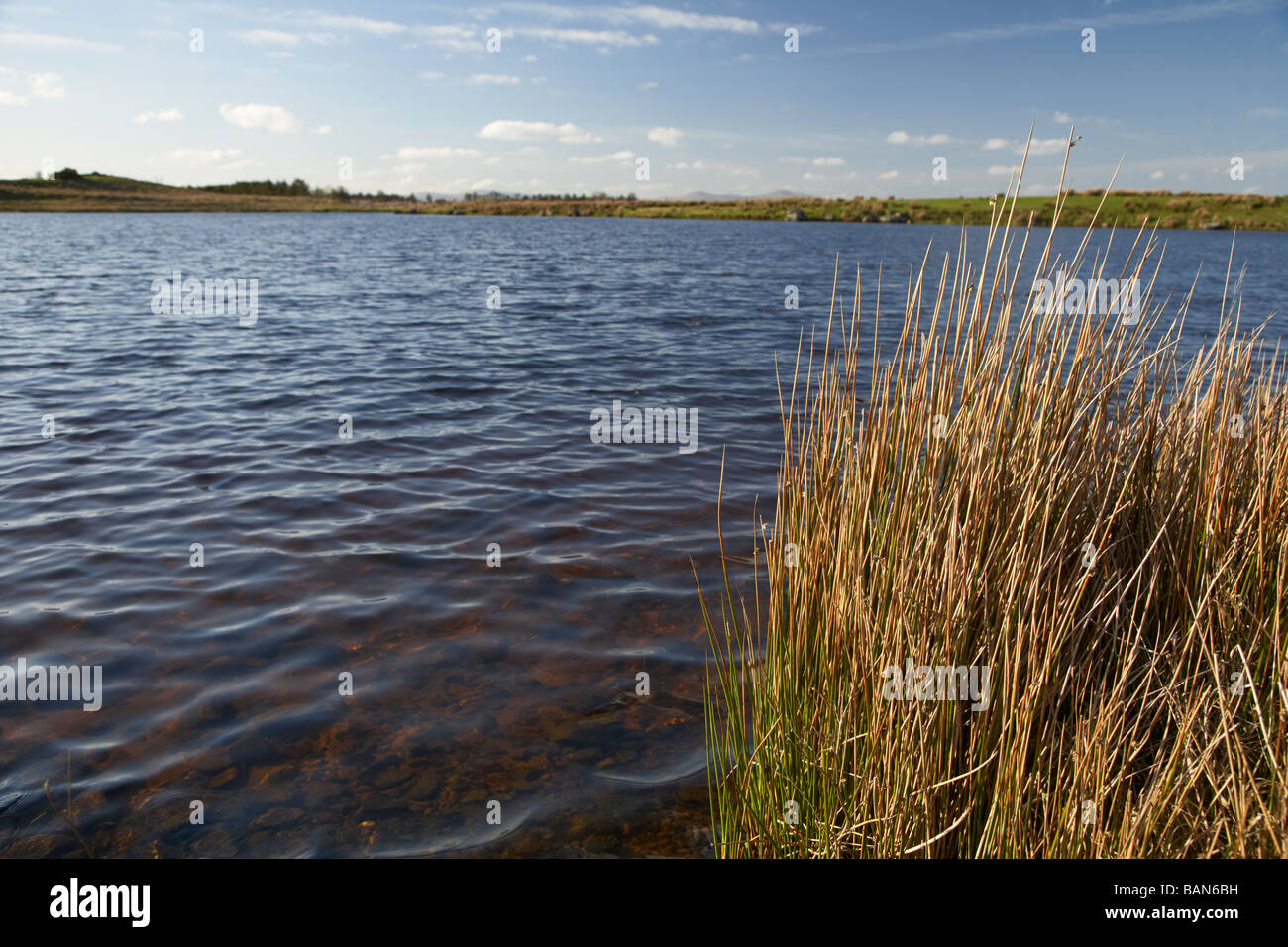 Mallon hi-res stock photography and images - Alamy