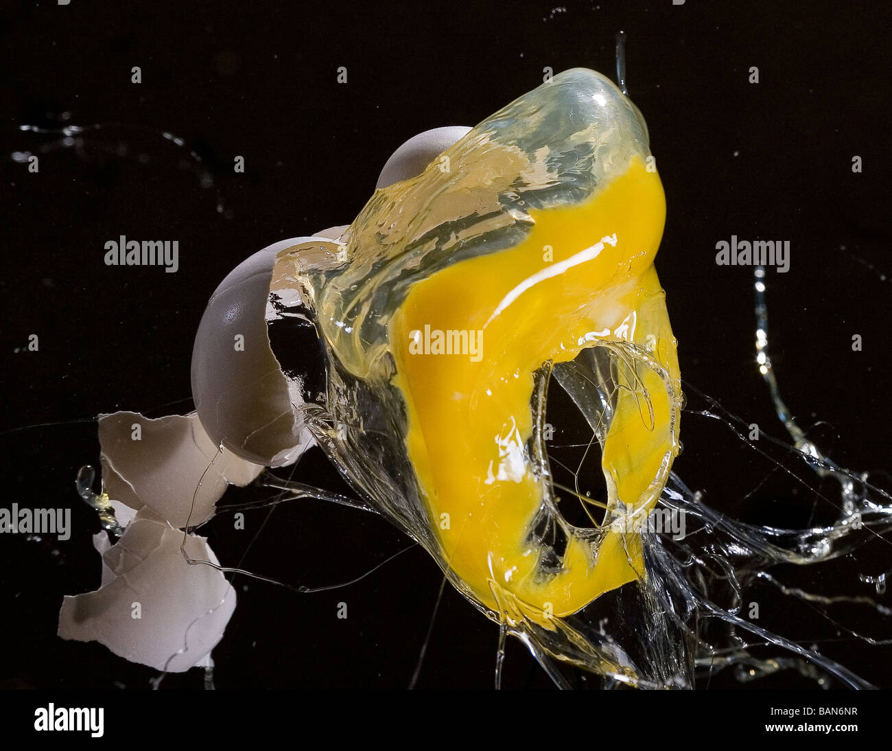 Egg motion hi-res stock photography and images - Alamy