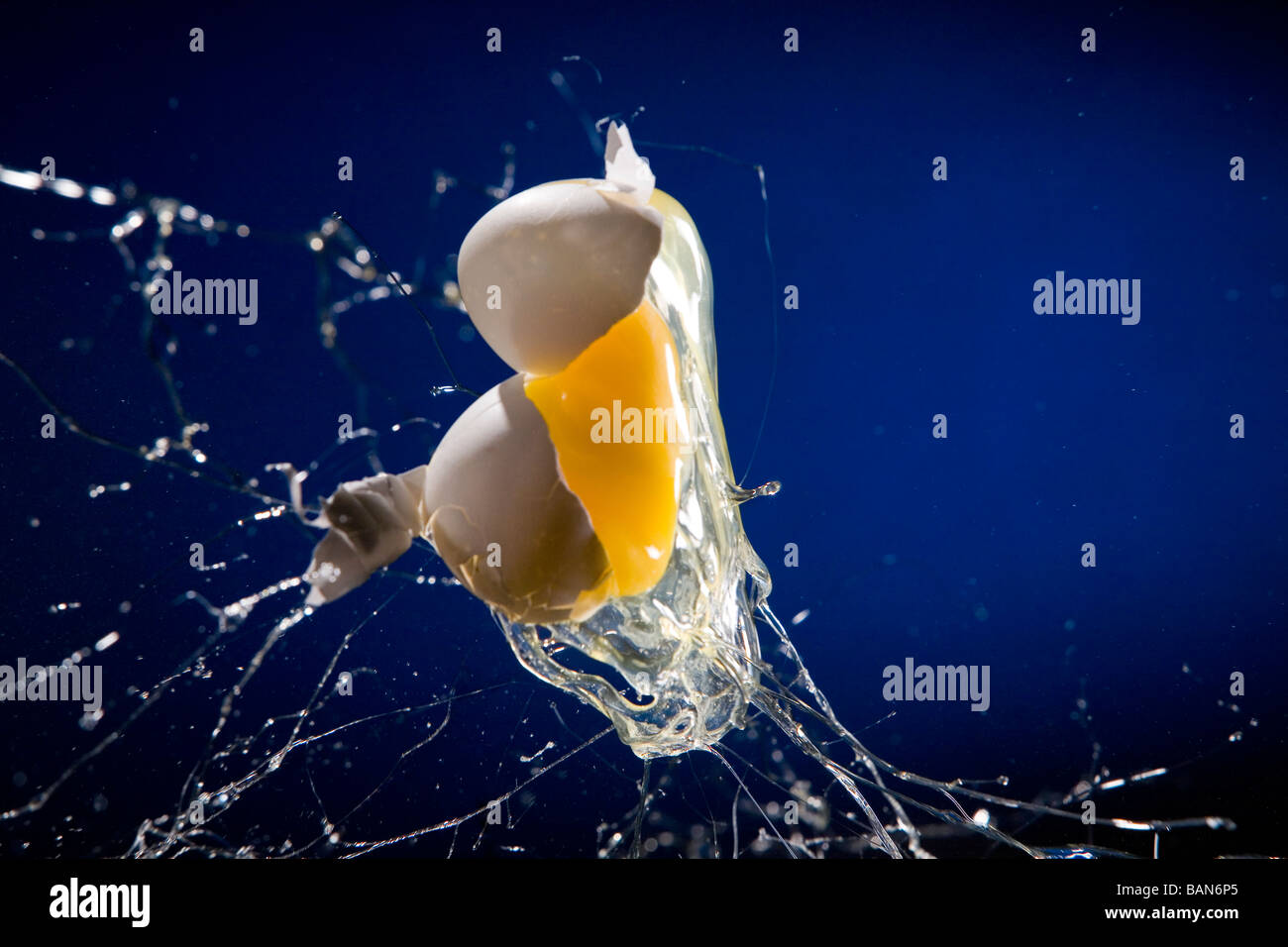 egg explosion Stock Photo, Royalty Free Image: 23823245 - Alamy