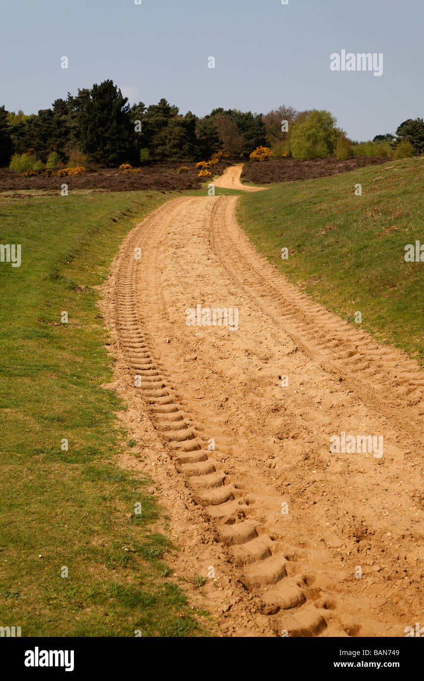 Sandy track heathland Suffolk Sandlings heath Stock Photo - Alamy