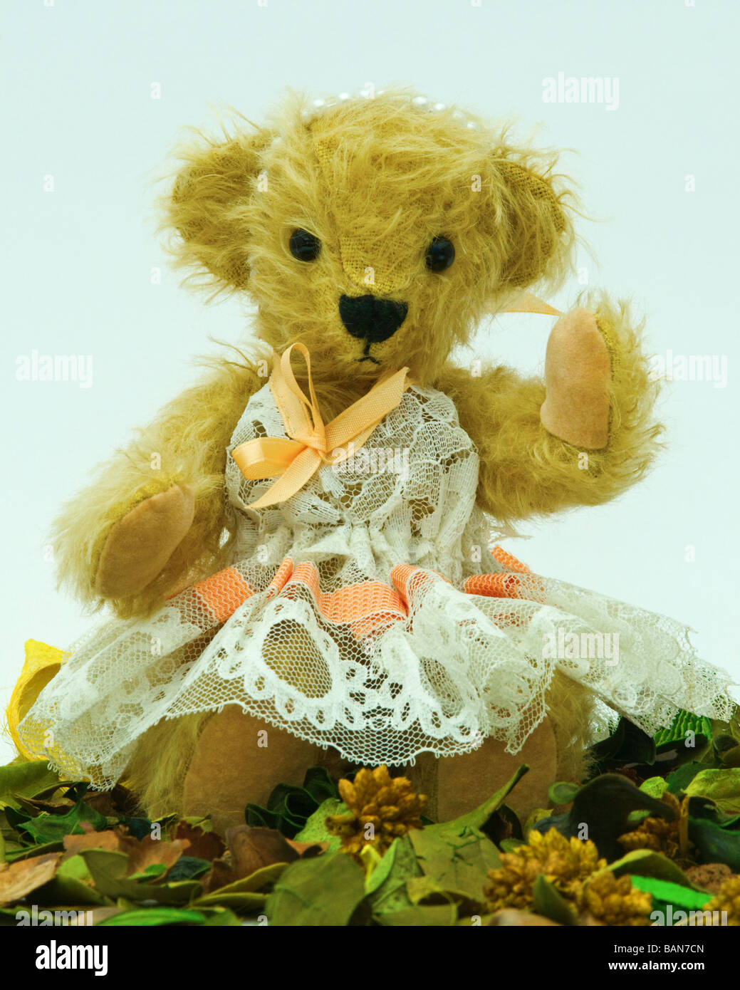 Miniature teddy sitting on a bed of flowers (Mini Bear Collection Stock ...