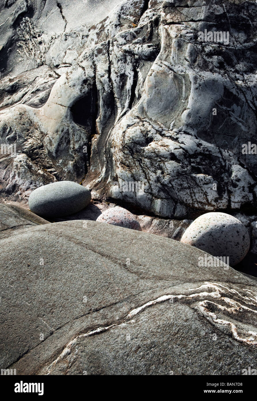 Canadian Shield Plants High Resolution Stock Photography and Images - Alamy
